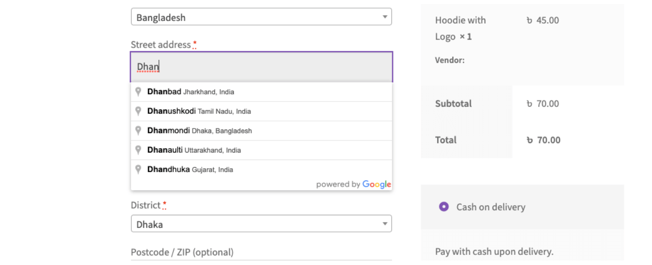 Google autocomplete address in the checkout(Pro) - Documentation for Plugins