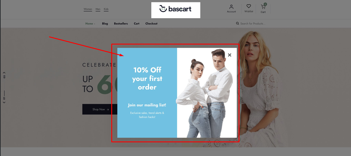 Remove Popup Modal – Documentation for Themes